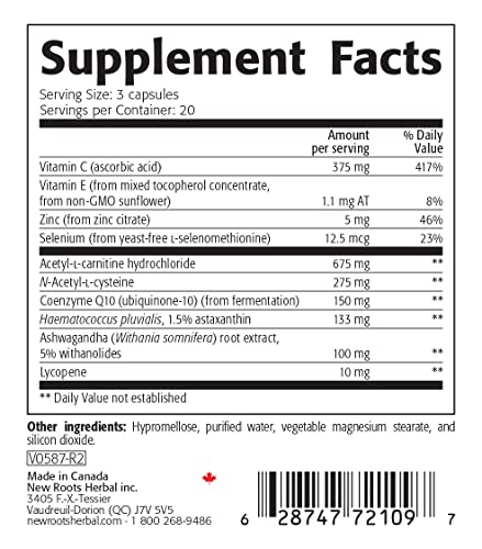 boost immunity with ashwagandha