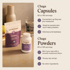 boost immunity with chaga