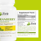 boost immunity with cranberry extract