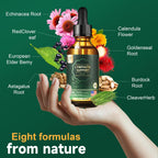 boost immunity with echinacea