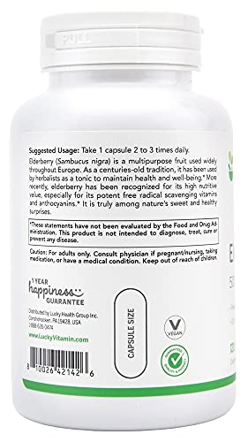 Boost immunity with elderberry capsules