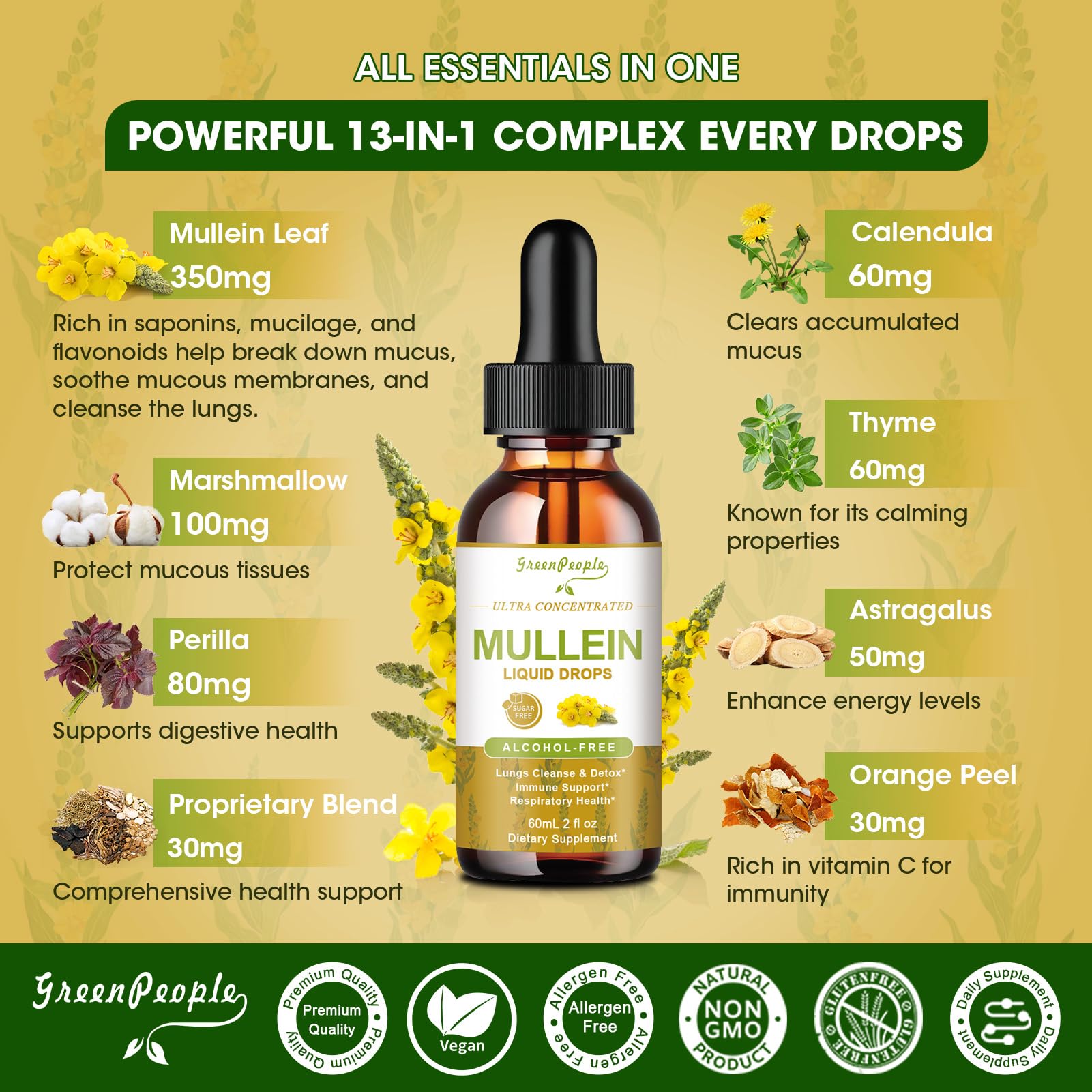 boost immunity with elderberry mullein