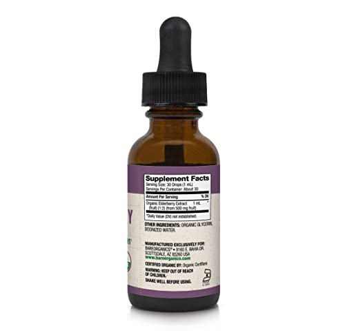 Boost immunity with elderberry syrup