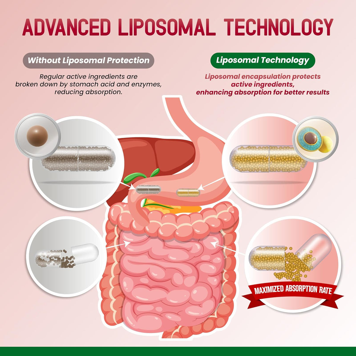 Boost immunity with herbal capsules