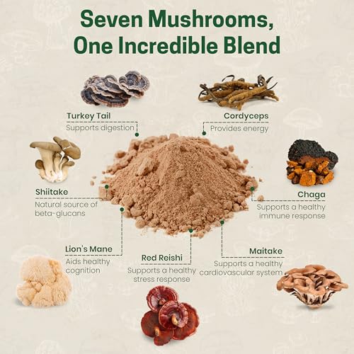 boost immunity with mushroom blends