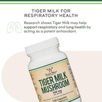 boost immunity with mushrooms