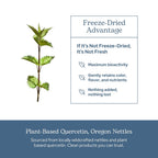 Boost immunity with nettle quercetin