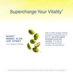 boost immunity with olive leaf extract