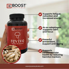 boost immunity with reishi mushrooms