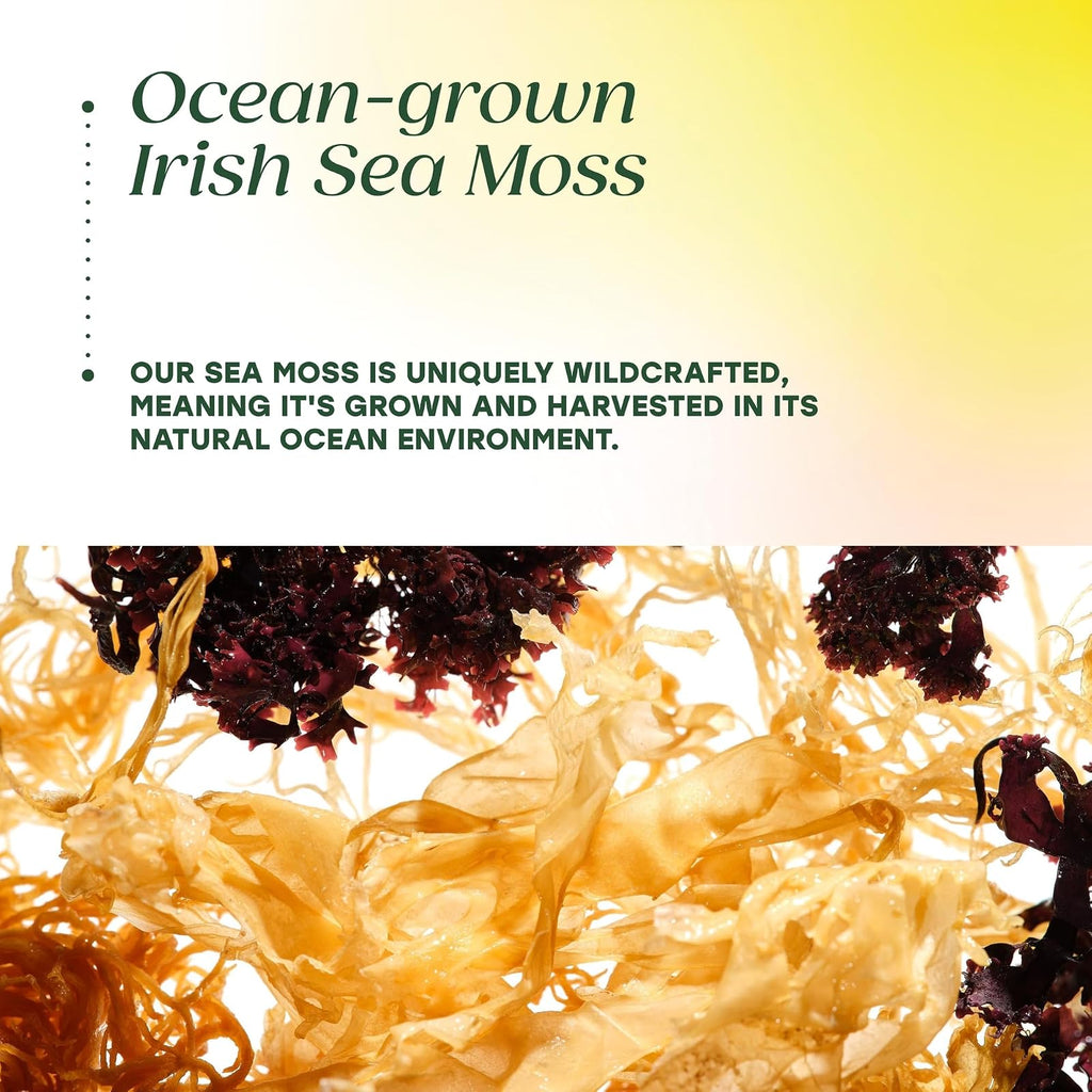boost immunity with sea moss