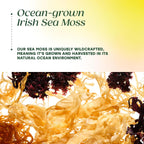 boost immunity with sea moss