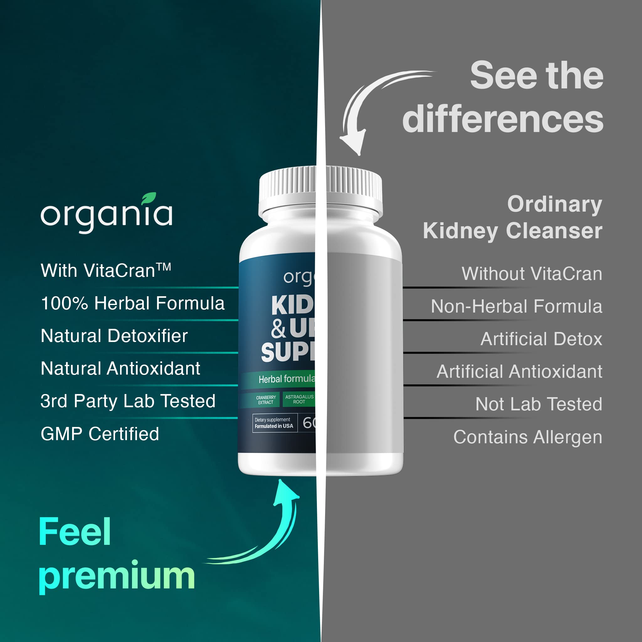 boost kidney function with cranberry
