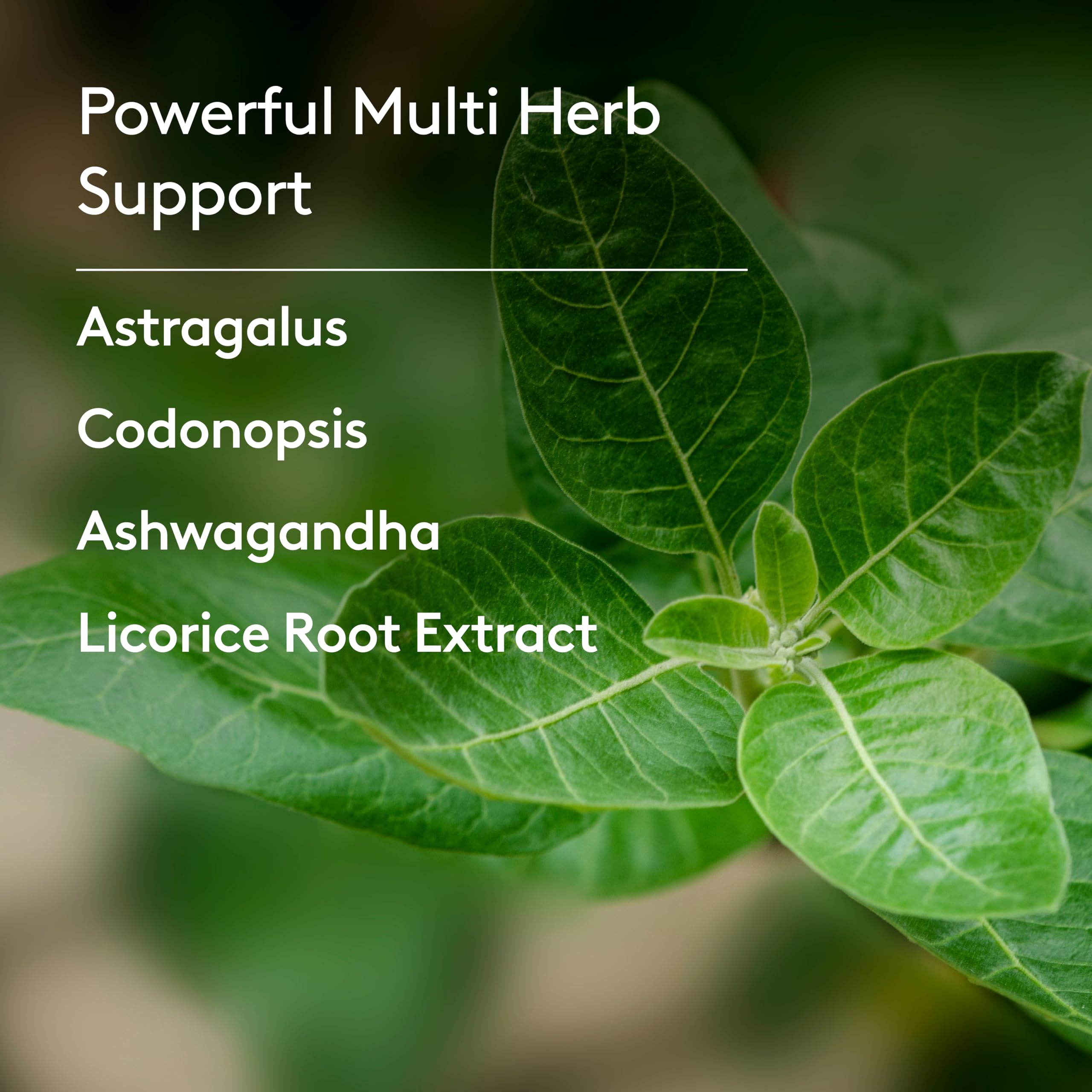 boost kids' immune system naturally