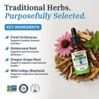 boost kids immune system naturally