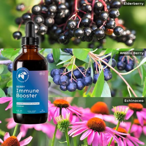 boost kids' immunity with elderberry