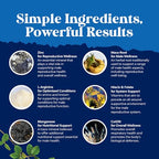 boost male fertility with vitamins