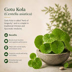 boost memory and focus naturally