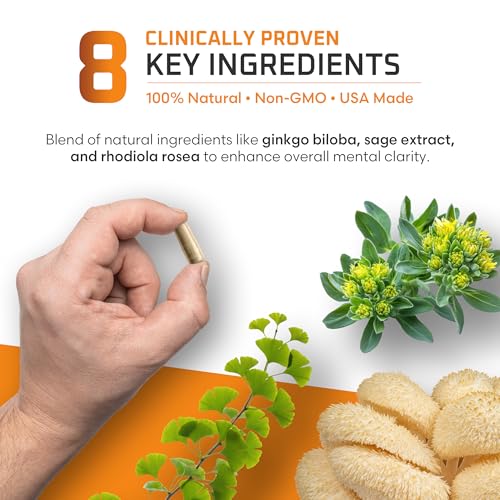 boost memory retention with ginkgo biloba