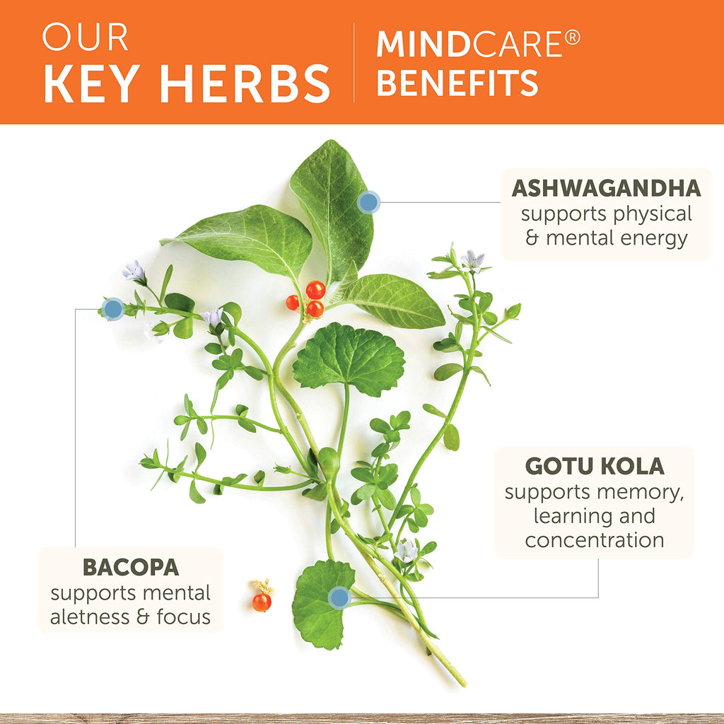 boost memory with bacopa monnieri