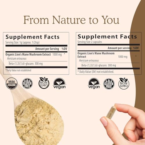 boost memory with herbal mushrooms