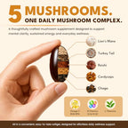 Boost memory with Lion's Mane capsules
