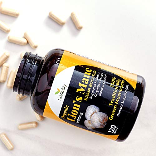 boost memory with lion's mane extract