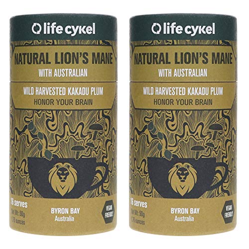 boost memory with lion's mane mushrooms