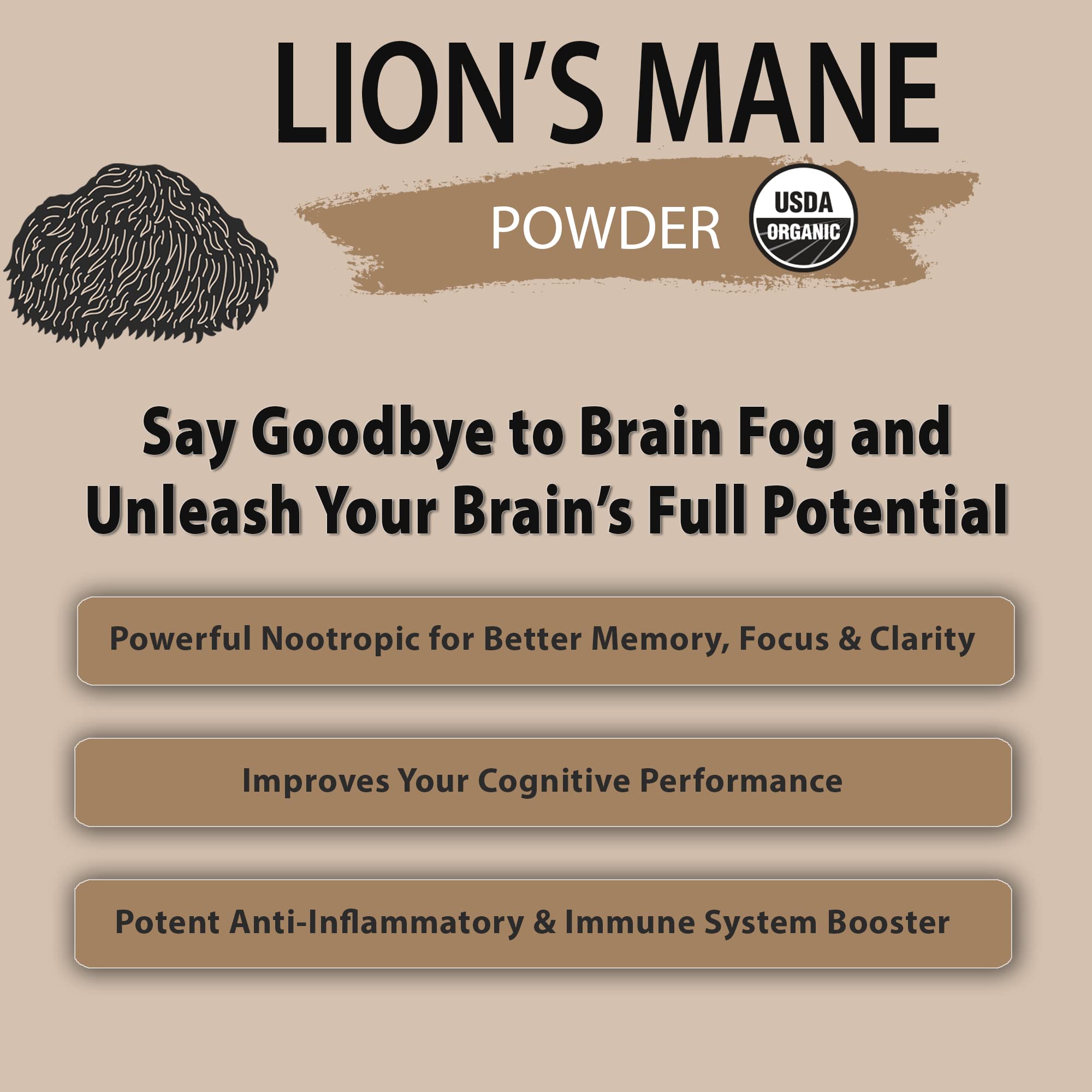 boost memory with lion's mane mushrooms