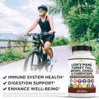 boost memory with lion's mane supplement