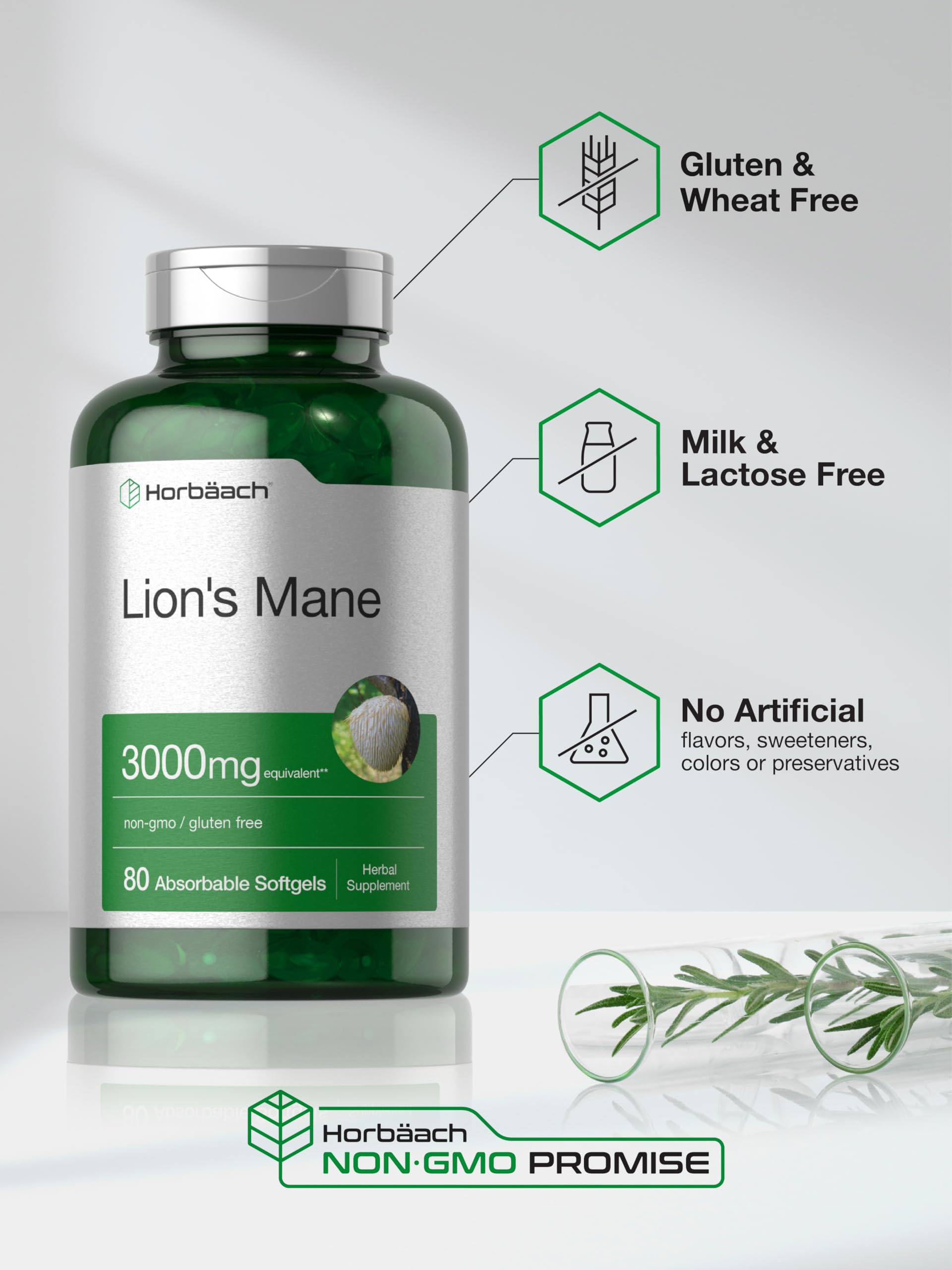 boost memory with Lions Mane