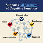 boost memory with Nootropics gummies