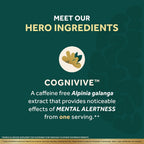 Boost memory with vitamin B complex