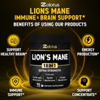 boost mental clarity with lion's mane