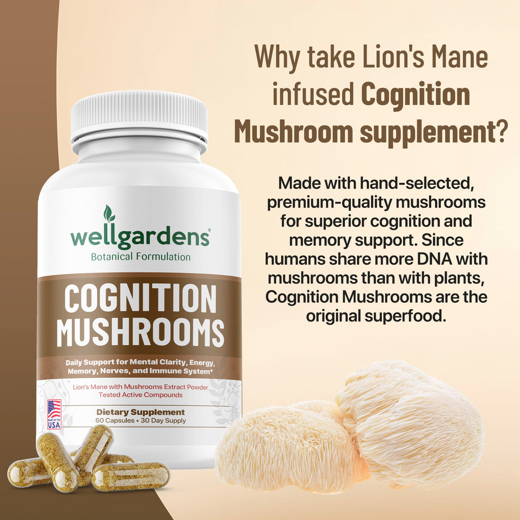 boost mental clarity with mushrooms