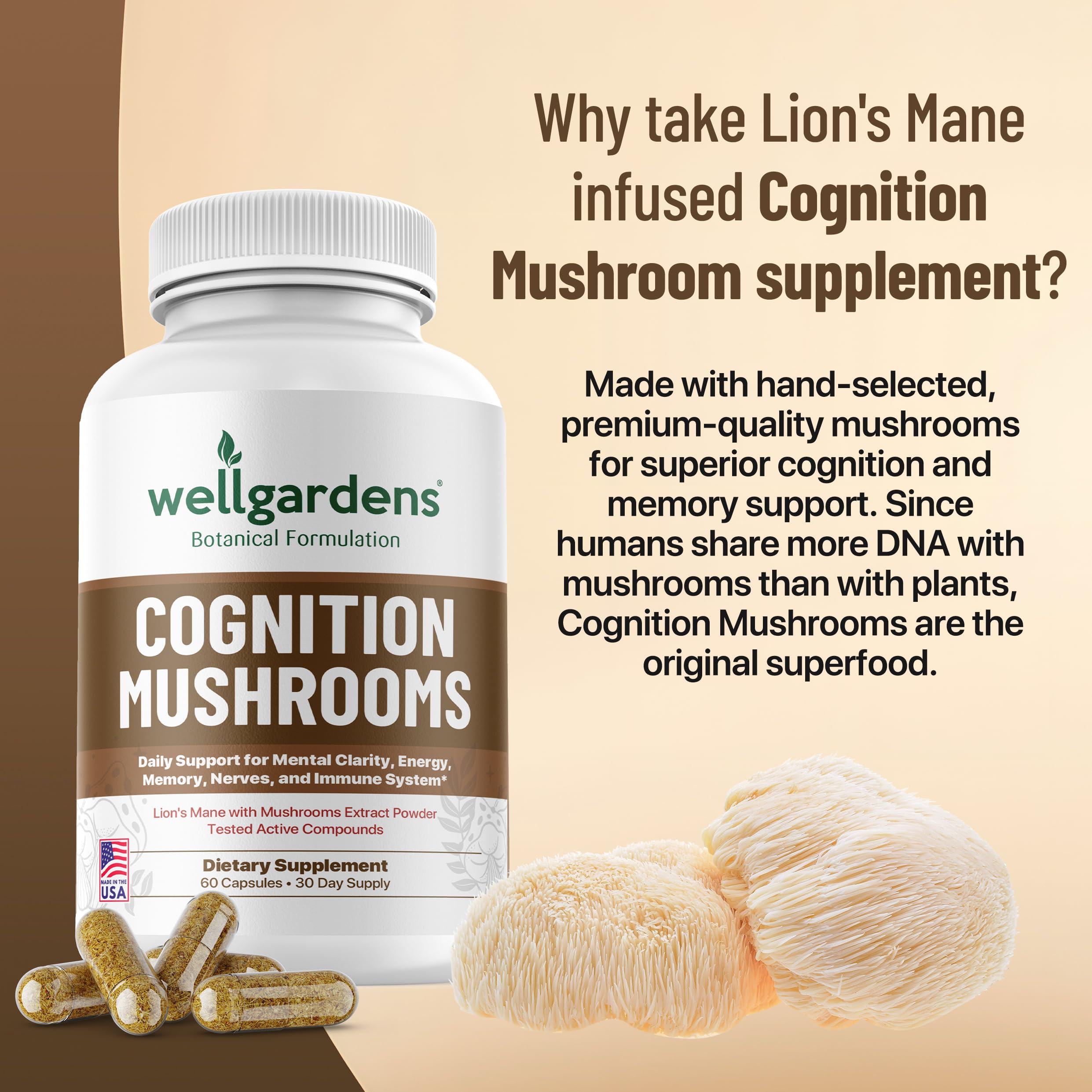 boost mental clarity with mushrooms