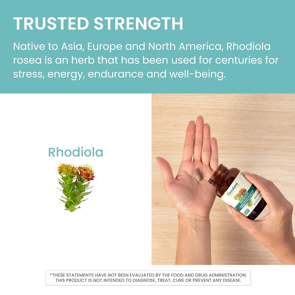 Boost mental clarity with Rhodiola extract