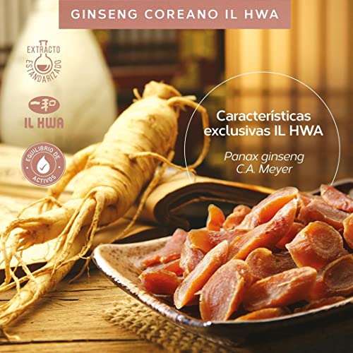 boost mental focus with ginseng