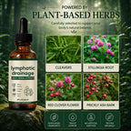 boost metabolism lymphatic drainage drops