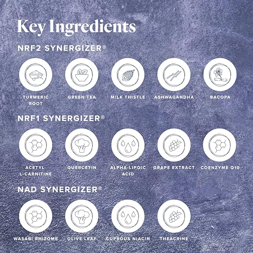 boost metabolism using acetyl-l-carnitine