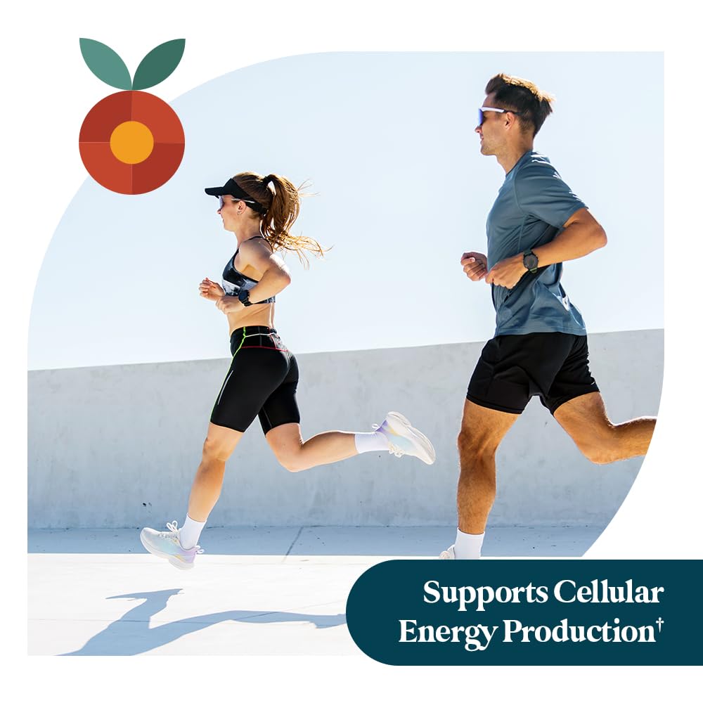 Boost metabolism with acetyl-l-carnitine