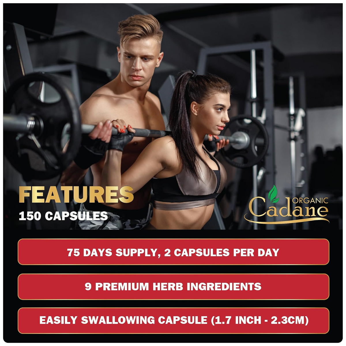 Boost metabolism with Berberine 500 mg