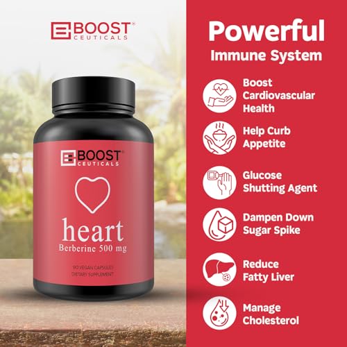 boost metabolism with berberine capsules