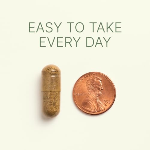 boost metabolism with berberine capsules
