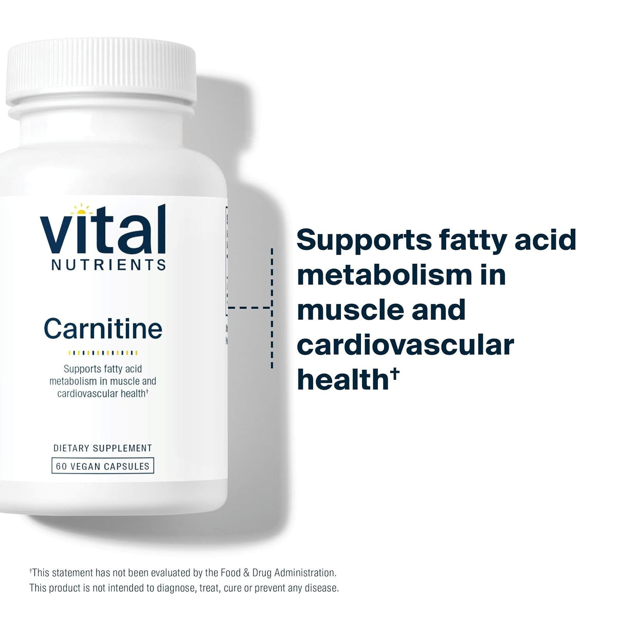 Boost metabolism with Carnitine