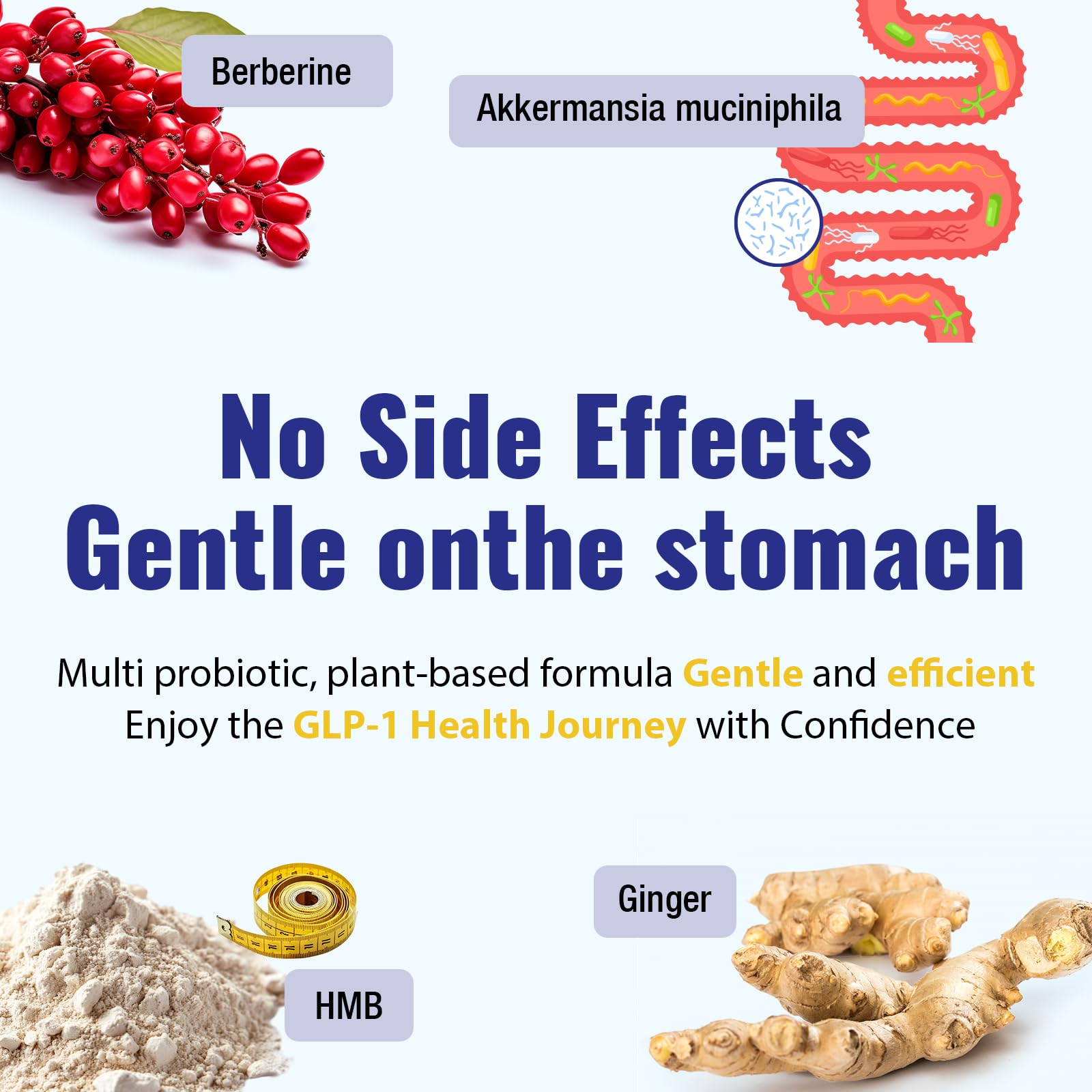 boost metabolism with GLP-1 supplement