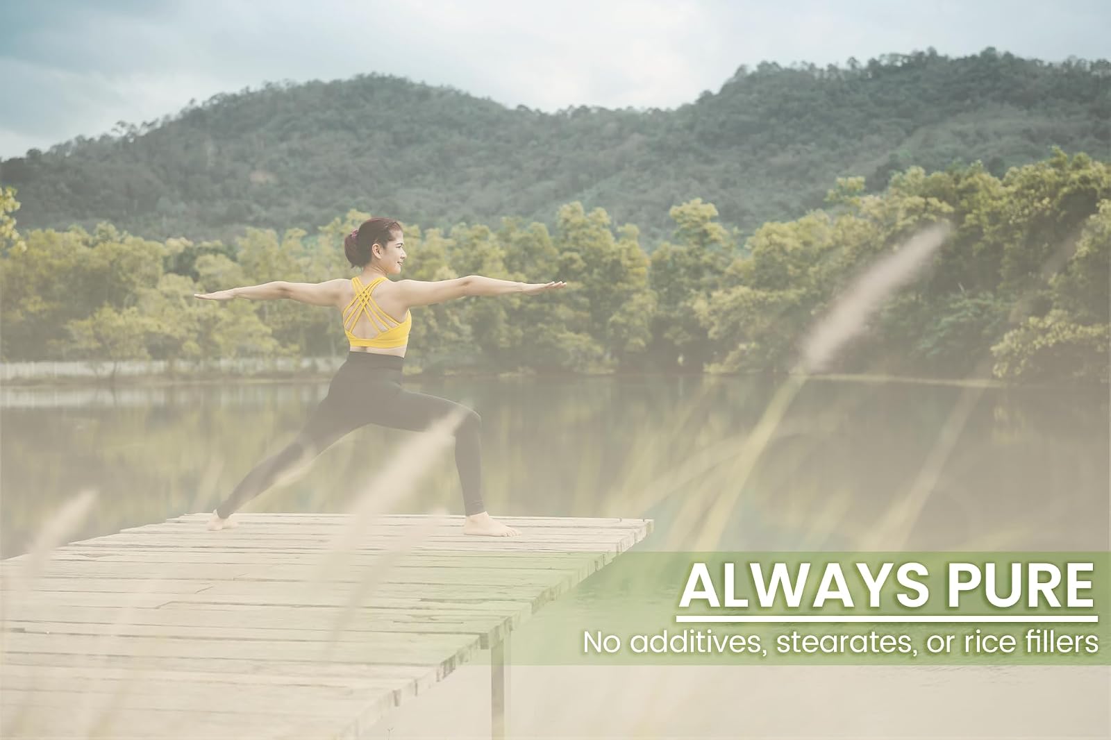 boost metabolism with green tea extract