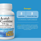 boost metabolism with l-carnitine