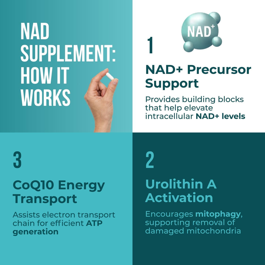 Boost metabolism with NAD+ supplement