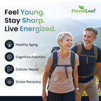 Boost metabolism with NAD+
