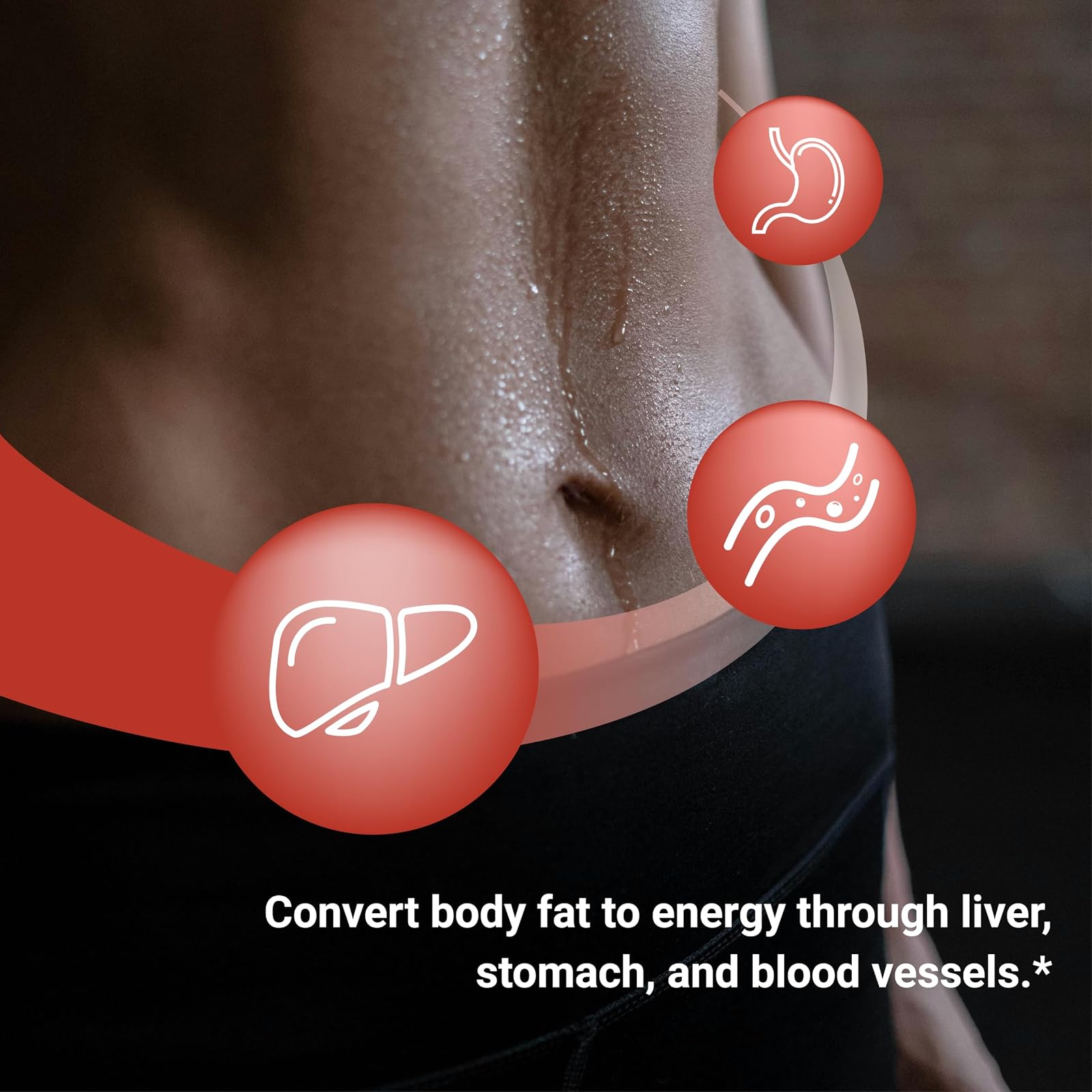 Boost metabolism with Naturalis Fucoxanthin